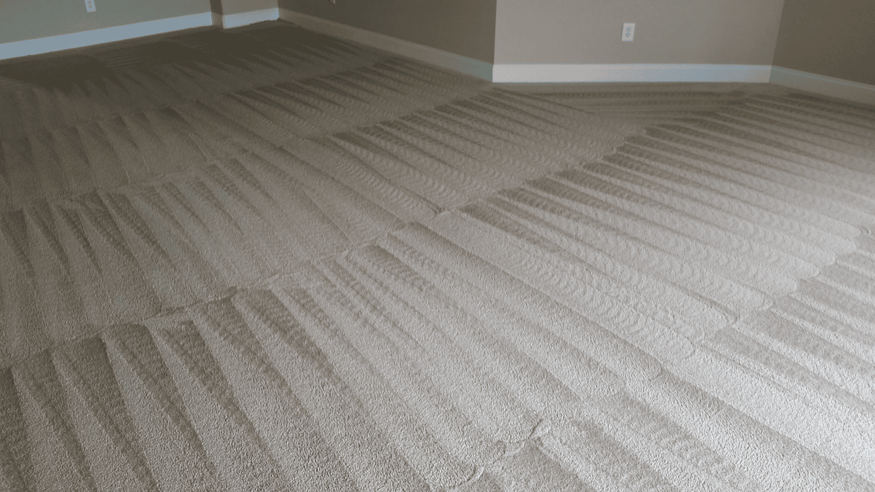 5 Essential Carpet Cleaning Tips for a Fresh Home