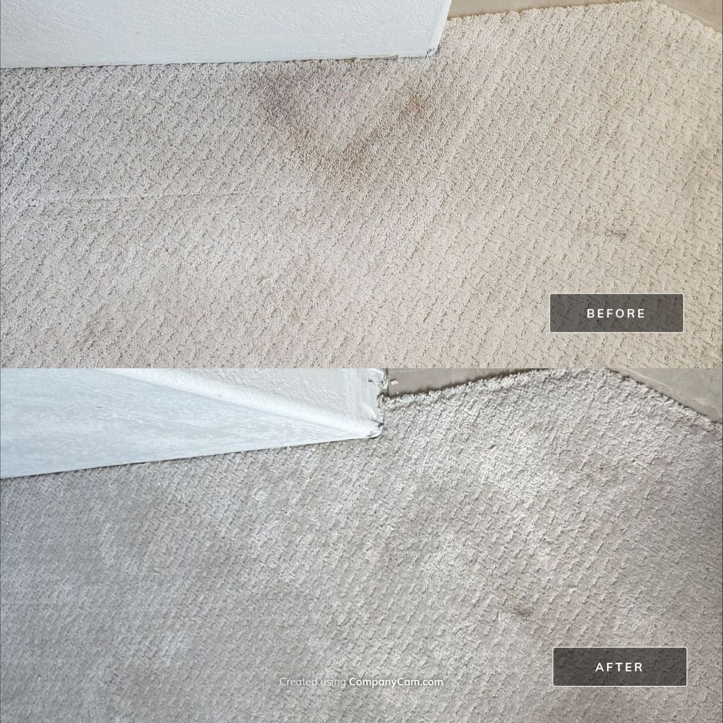 6 Helpful Carpet Repair Tips: DIY vs. Professional Help - Oregon Floor ...