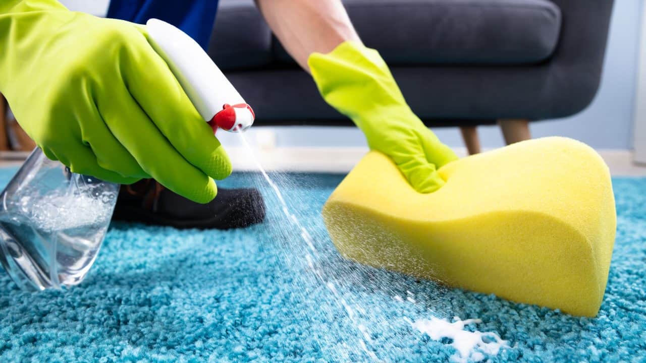 Carpet Cleaning Products: 7 Most Effective and Reliable - Oregon Floor ...